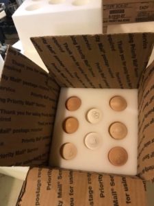 Foam Egg Shippers – Feathered hatchery